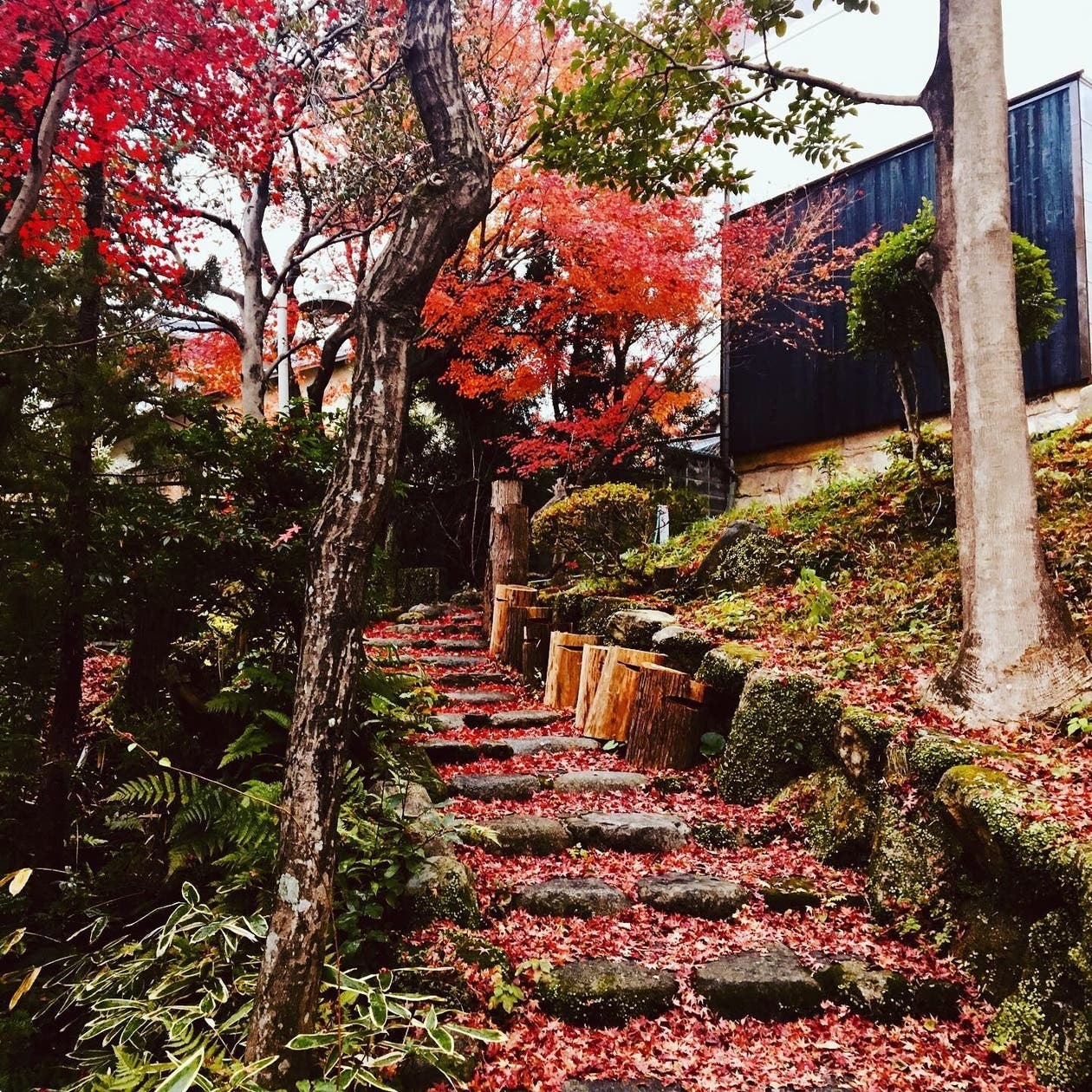 築100年以上！寺造りの日本家屋。成人式の前撮りや七五三の撮影、コスプレ撮影などに！の写真17