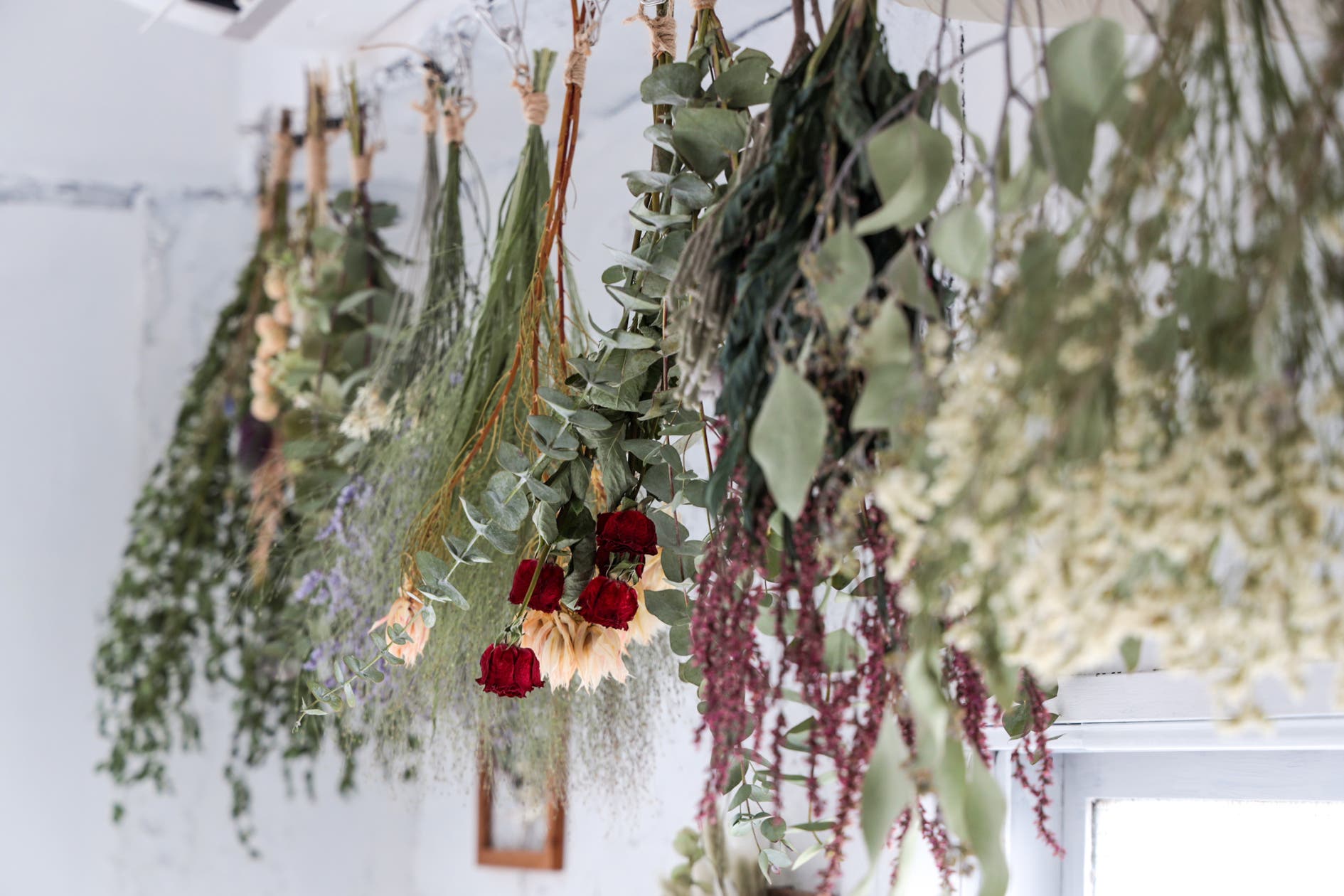 白壁白床、ひろびろ82平米。自然光で一日中キレイに撮影できる新宿のハウススタジオの写真13