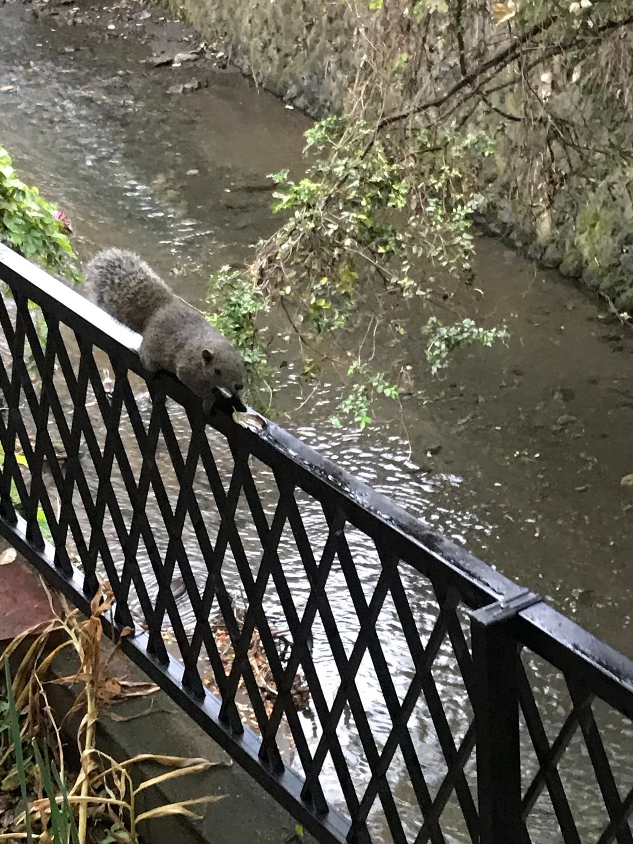 子ども食堂、カフェで使っていますの写真8