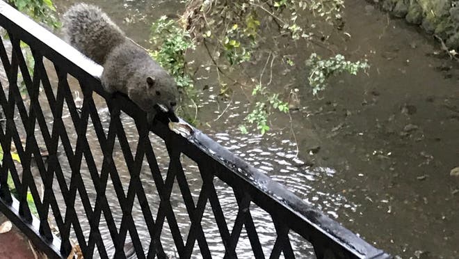 子ども食堂、カフェで使っていますの写真8