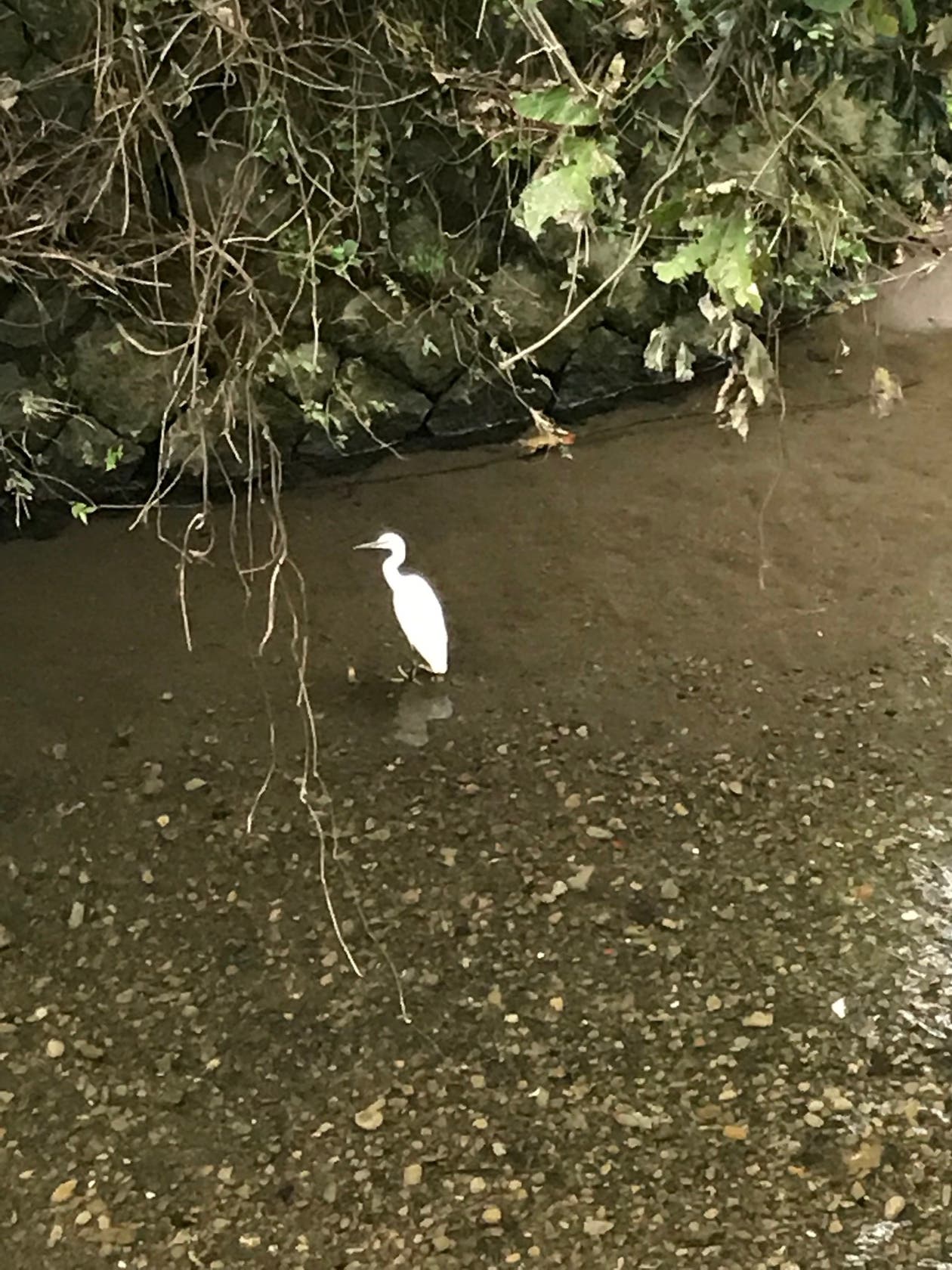 子ども食堂、カフェで使っていますの写真9