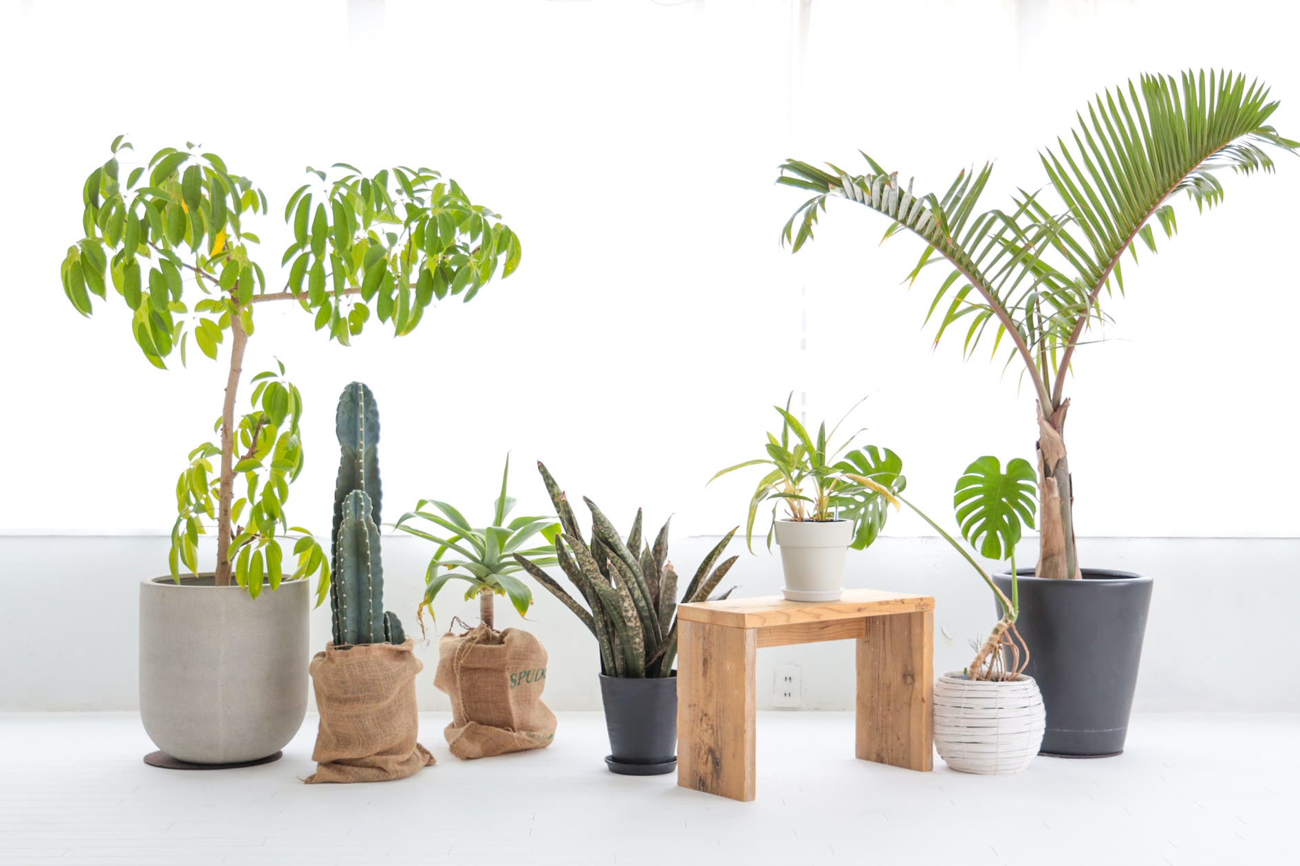 白壁白床、ひろびろ82平米。自然光で一日中キレイに撮影できる新宿のハウススタジオの写真10