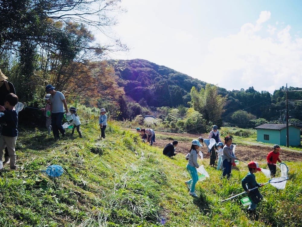 南房総の里山3000坪まるごと使える！古民家／畑／裏山の写真12