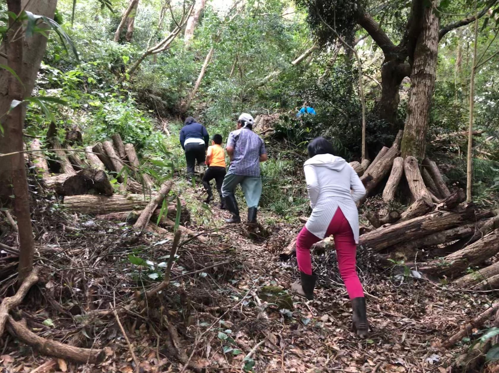 南房総の里山3000坪まるごと使える！古民家／畑／裏山の写真13