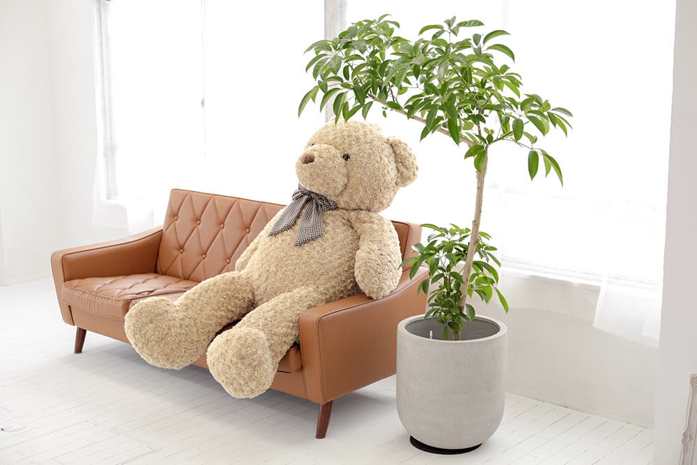 白壁白床、ひろびろ82平米。自然光で一日中キレイに撮影できる新宿のハウススタジオの写真19