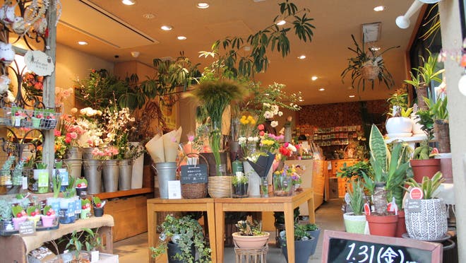 【アグリス成城】駅徒歩1分/キッチン付き/花屋2階のナチュラルで落ち着いたスペース の写真19