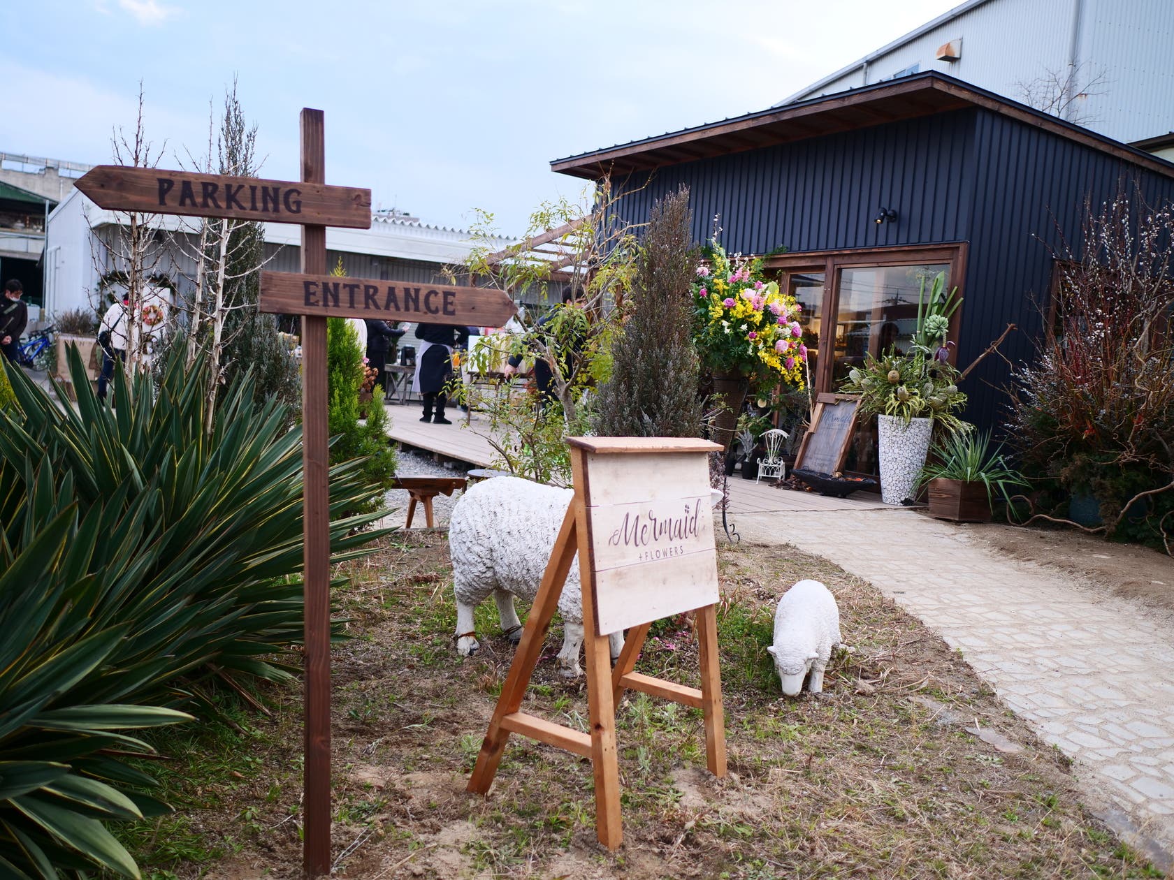 ペット撮影ＯＫ！ドライフラワーで装飾された異空間で撮影しませんか？の写真18