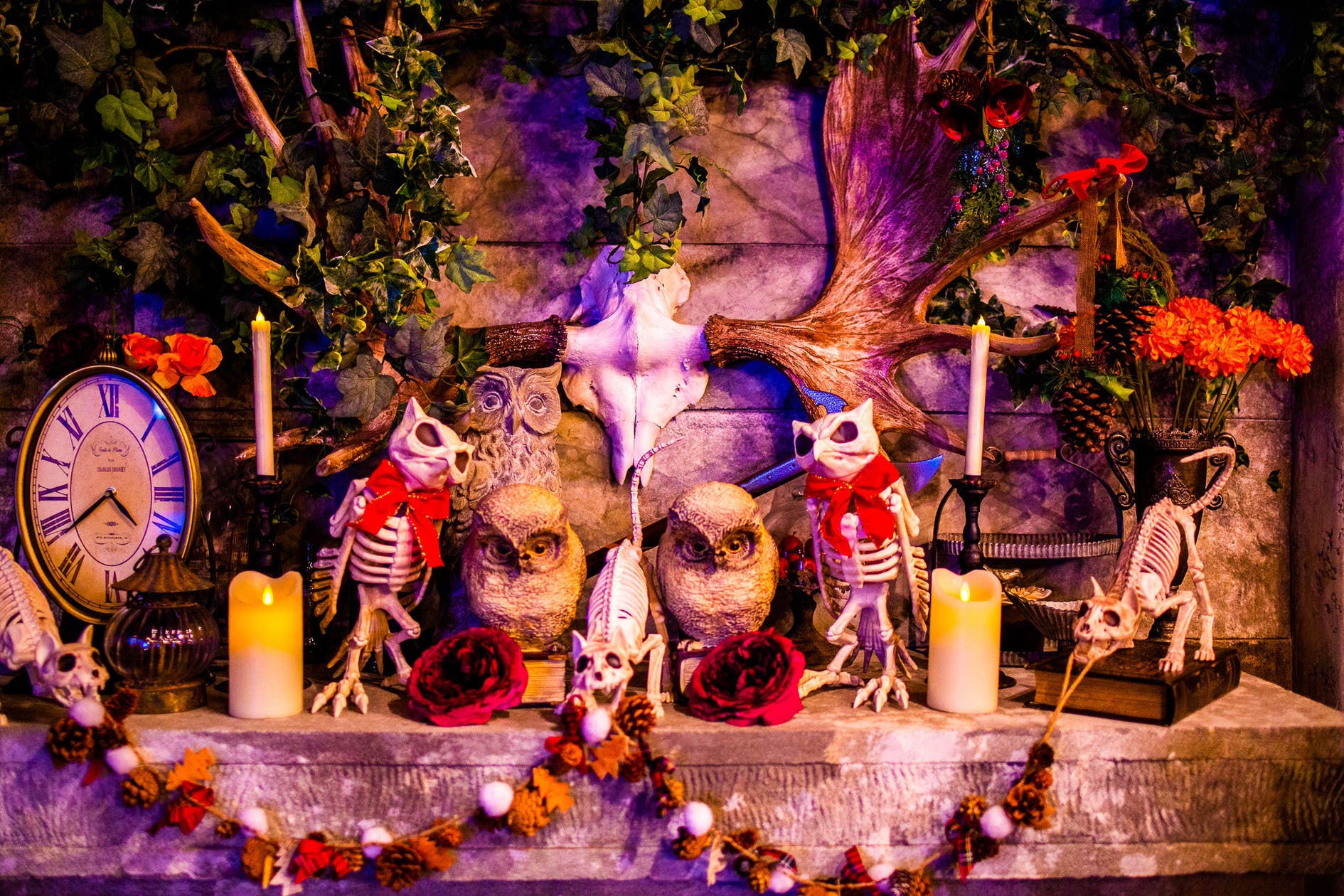 秋葉原駅徒歩1分！会議・セミナー・研修・パーティー・撮影が映える！面白いイベント会場　【王宮の魔法学校】の写真25