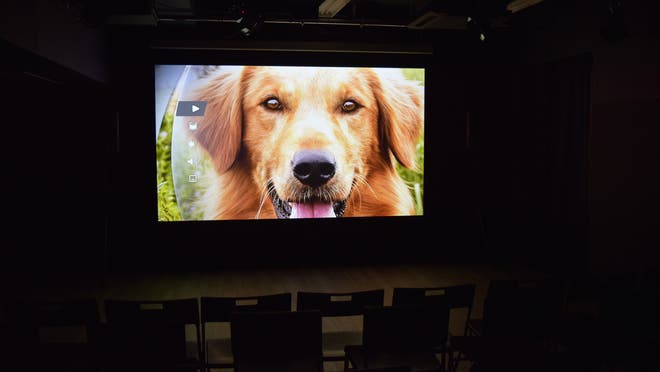 目黒駅からわずか6分!チワワだけど色々使えるマルチスタジオ!小規模なライブやセミナー、動画配信まで!の写真8