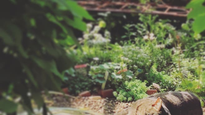 フレンチカントリー ギャラリー&カフェスペース スタジオ撮影の写真6