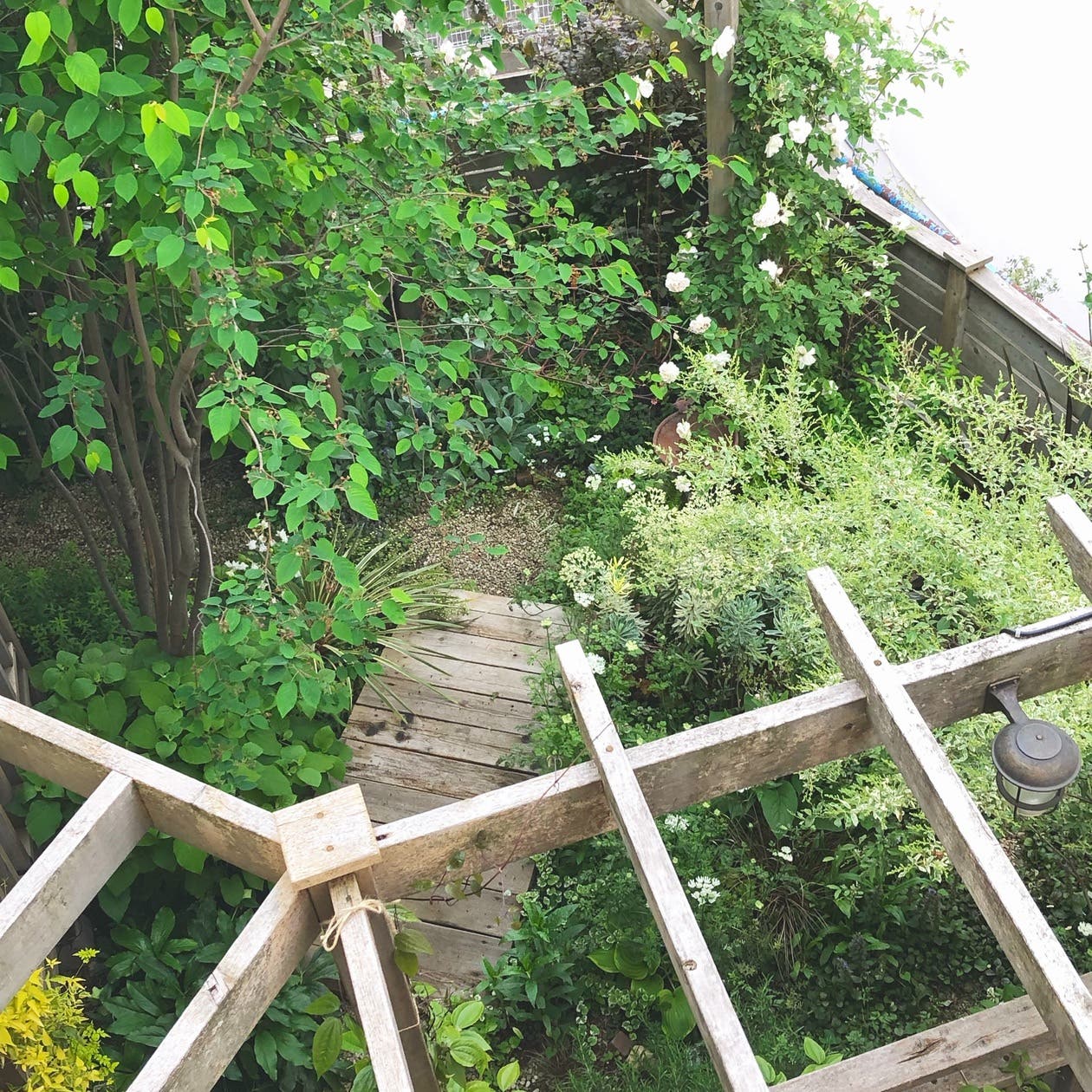 フレンチカントリー　ギャラリー&カフェスペース　スタジオ撮影の写真13