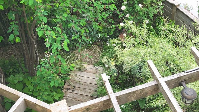 フレンチカントリー ギャラリー&カフェスペース スタジオ撮影の写真13