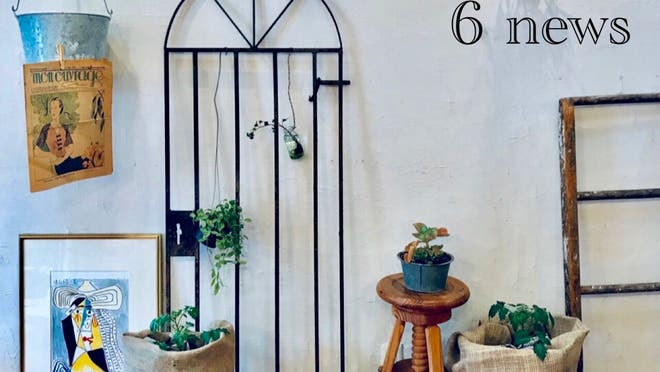 お洒落な撮影から会議、勉強会などなんでもご相談くださいませの写真2