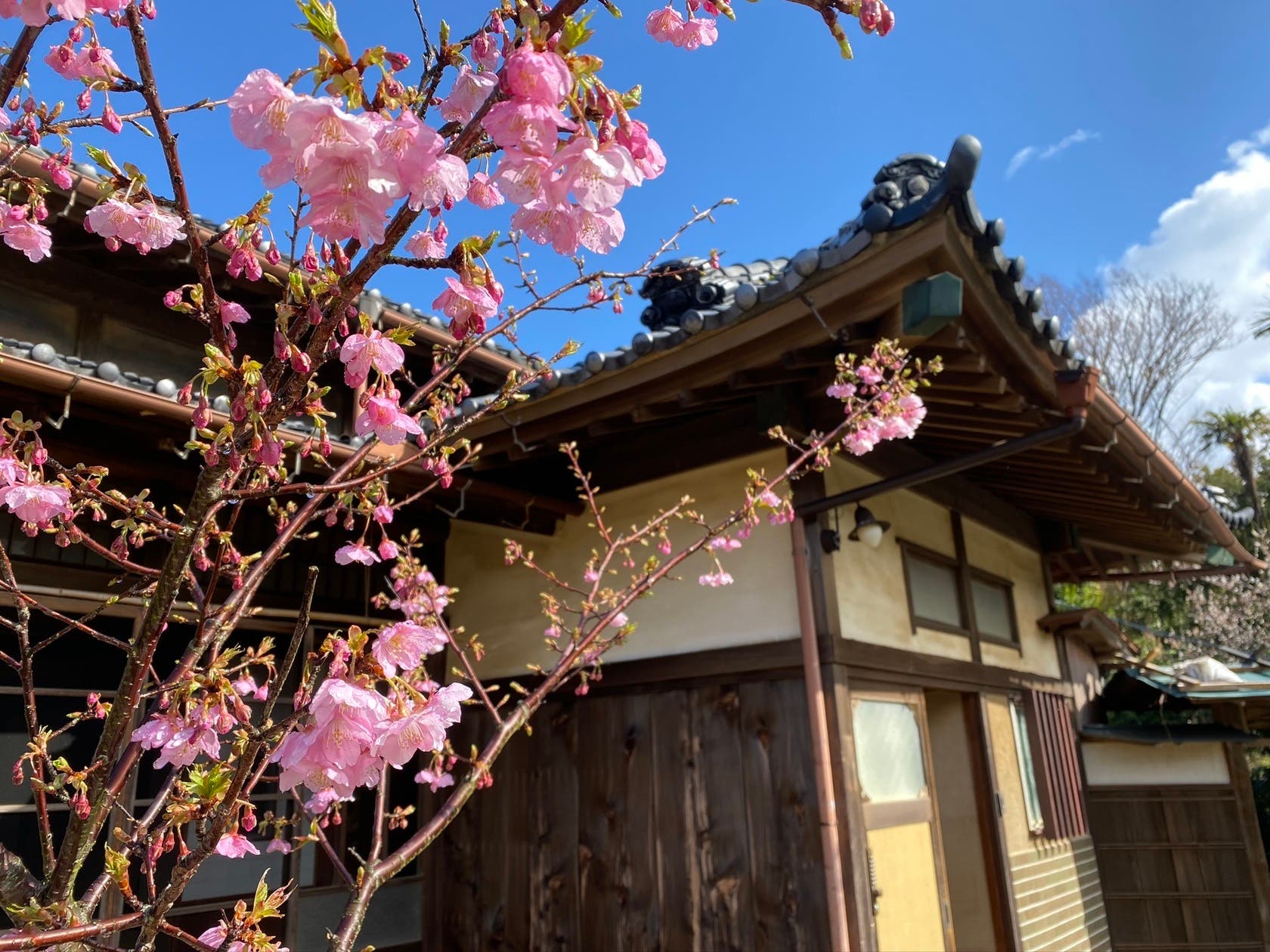 【湘南・三浦】築90年の古民家。夏を感じる海沿いスペース　夕日が綺麗な海辺まで徒歩1分！の写真22