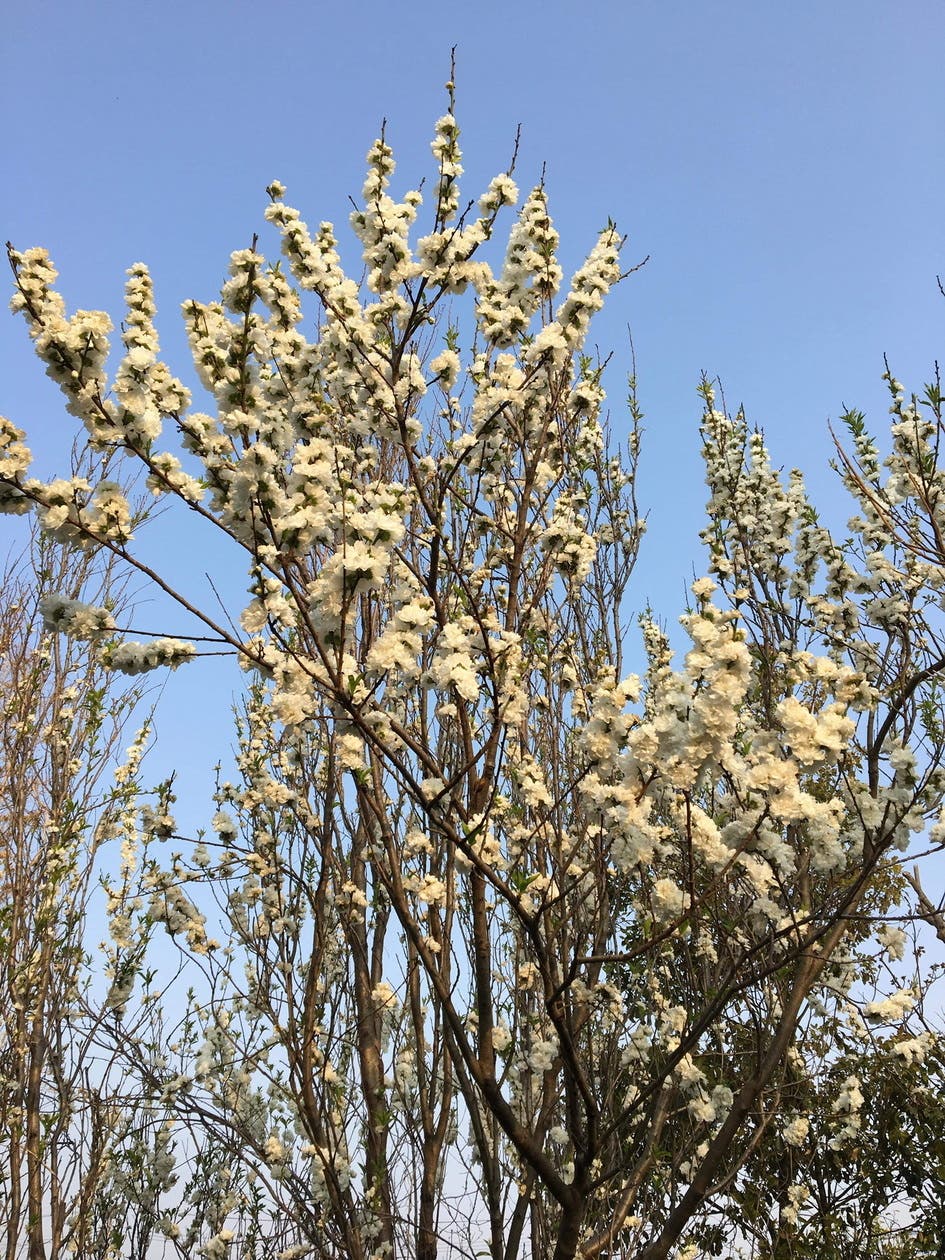 【湘南・三浦】築90年の古民家。夏を感じる海沿いスペース　夕日が綺麗な海辺まで徒歩1分！の写真24