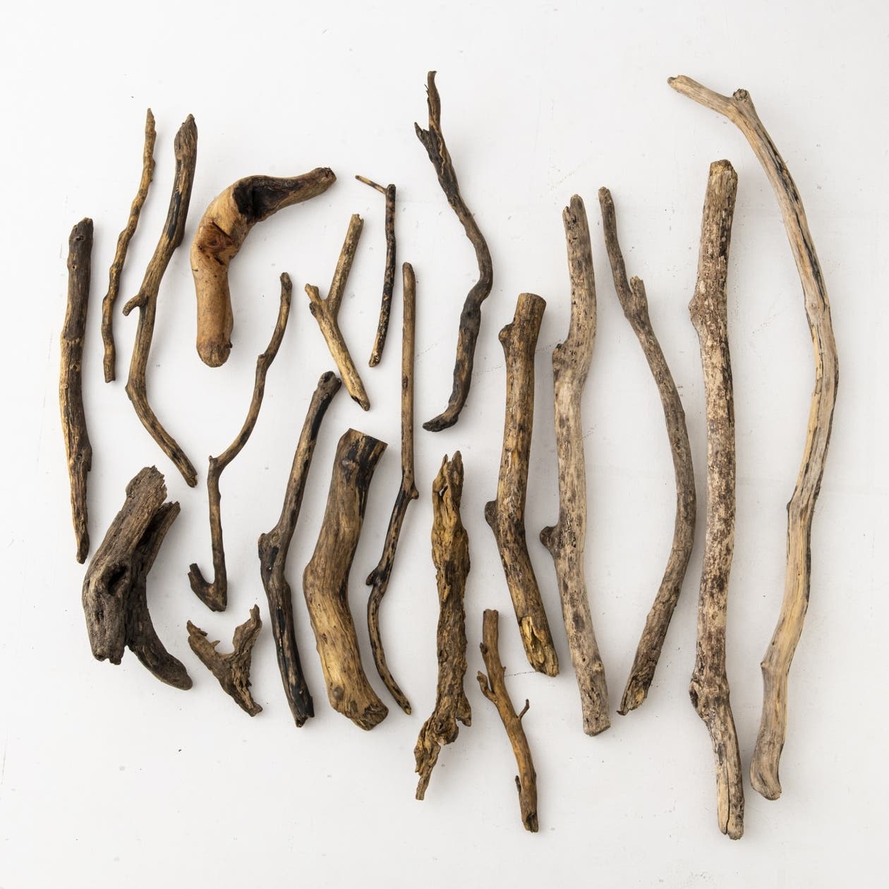 流木(大)の画像1