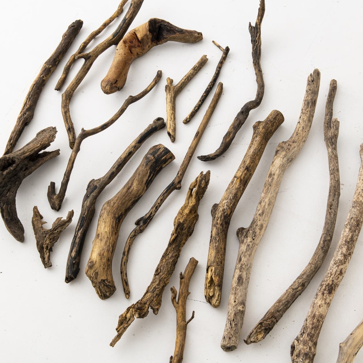 流木(小)の画像1