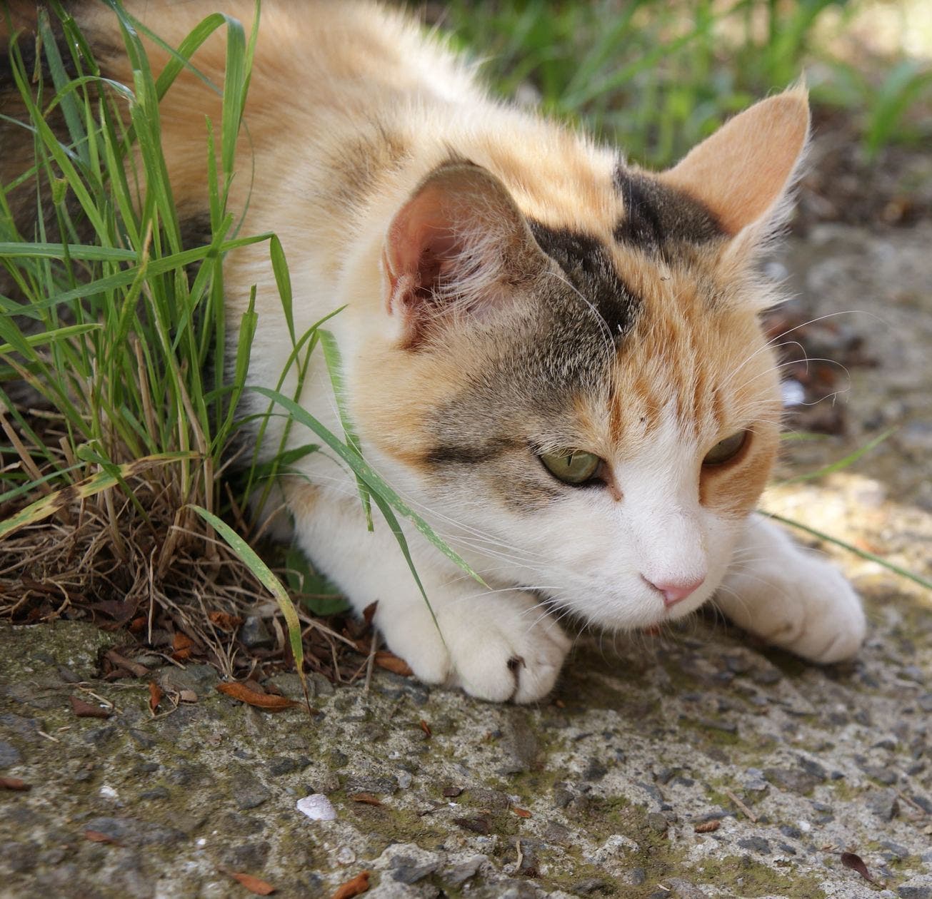 古民家空間　風楽の写真8