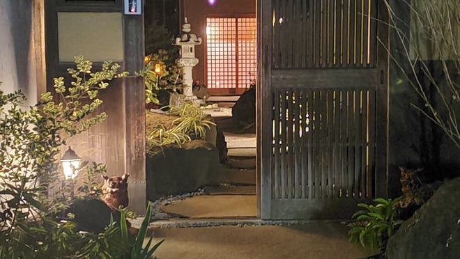 日本庭園スタジオてっぱく★富士の間★、コスプレ撮影、記念撮影、習い事、お茶会、ヨガレッスンなど!の写真7