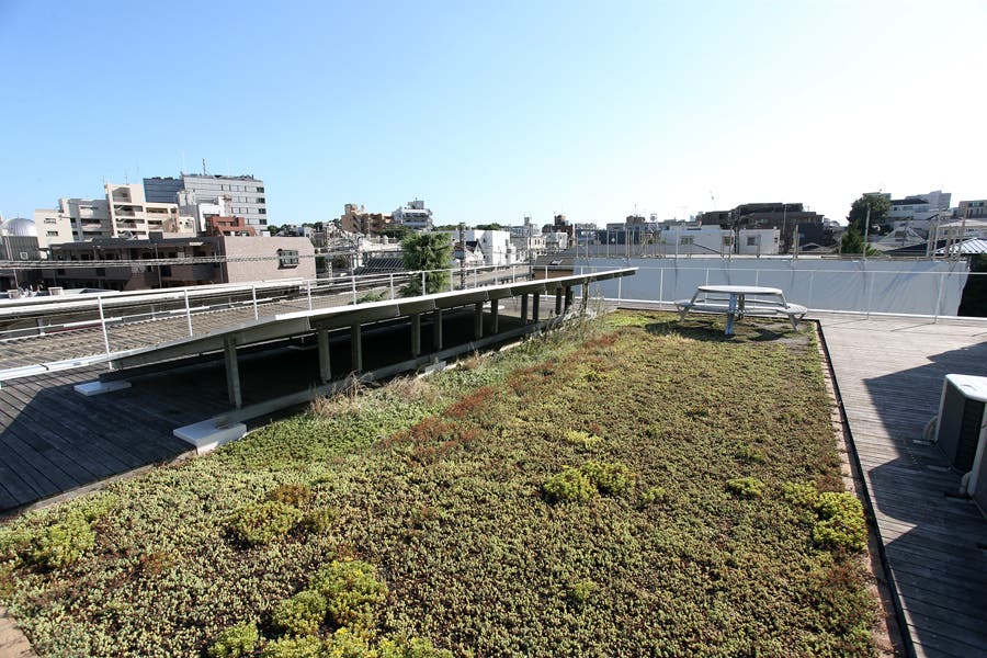 【南新宿駅からすぐ】自然光が心地良いワーキングスペース　y-valleyの写真11