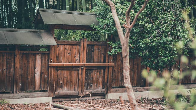 【都内から一時間】茨城県古河市の古民家。広い敷地に竹林、サツマイモ畑、蔵、母屋、離れの写真2