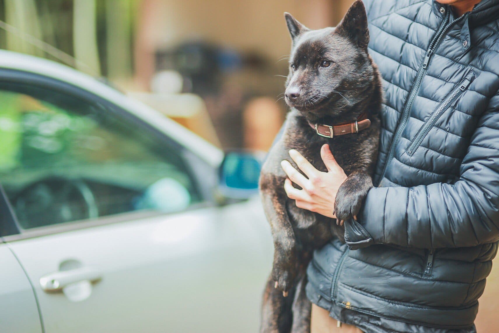 【都内から一時間】茨城県古河市の古民家。広い敷地に竹林、サツマイモ畑、蔵、母屋、離れの写真8