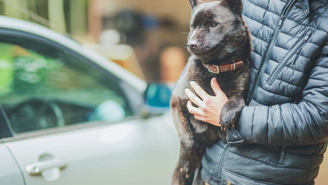 【都内から一時間】茨城県古河市の古民家。広い敷地に竹林、サツマイモ畑、蔵、母屋、離れの写真8