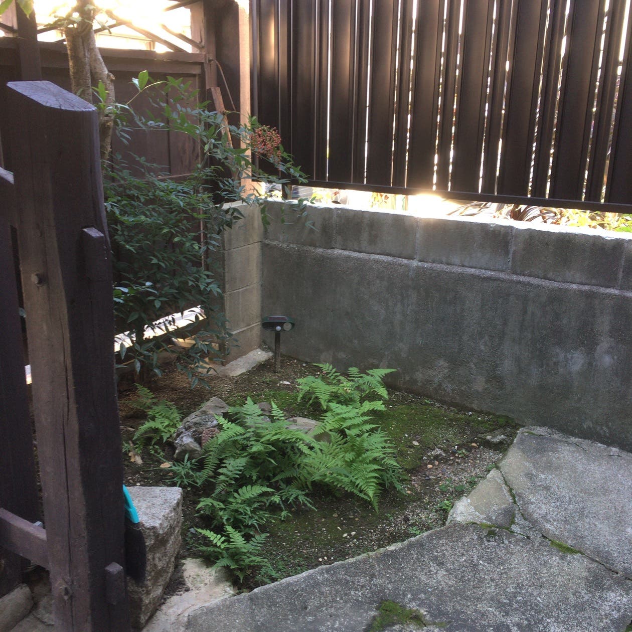 ロケ・撮影・茶道・書道に最適。門構え・床の間・和室・庭あり築100年の古民家。の写真7