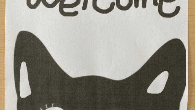 トップホスト ニックネームはネコの部屋【東照宮駅から200mのくつろぎスペース】ゆったりまったり個室デート安心の個室の写真5