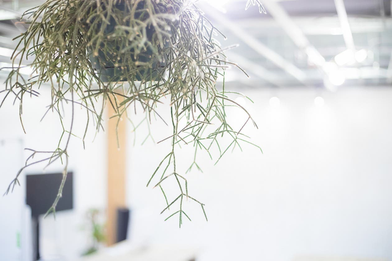 １人～最大20人＊wi-fi＊プロジェクター＊PC＊２４h＊駅近＊動画撮影＊会議＊映画鑑賞の写真12