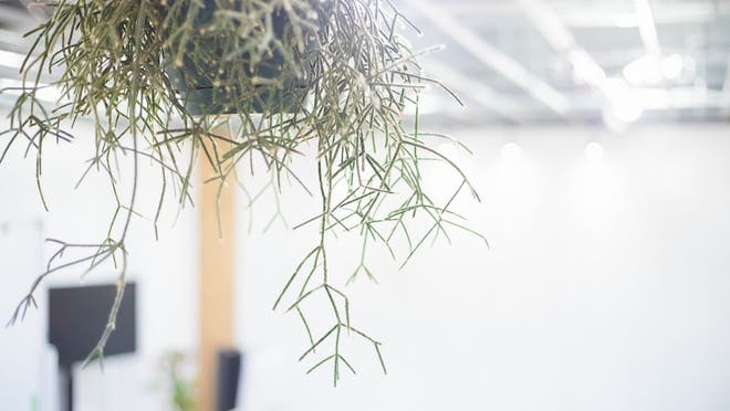 1人~最大20人*wi-fi*プロジェクター*PC*24h*駅近*動画撮影*会議*映画鑑賞の写真12