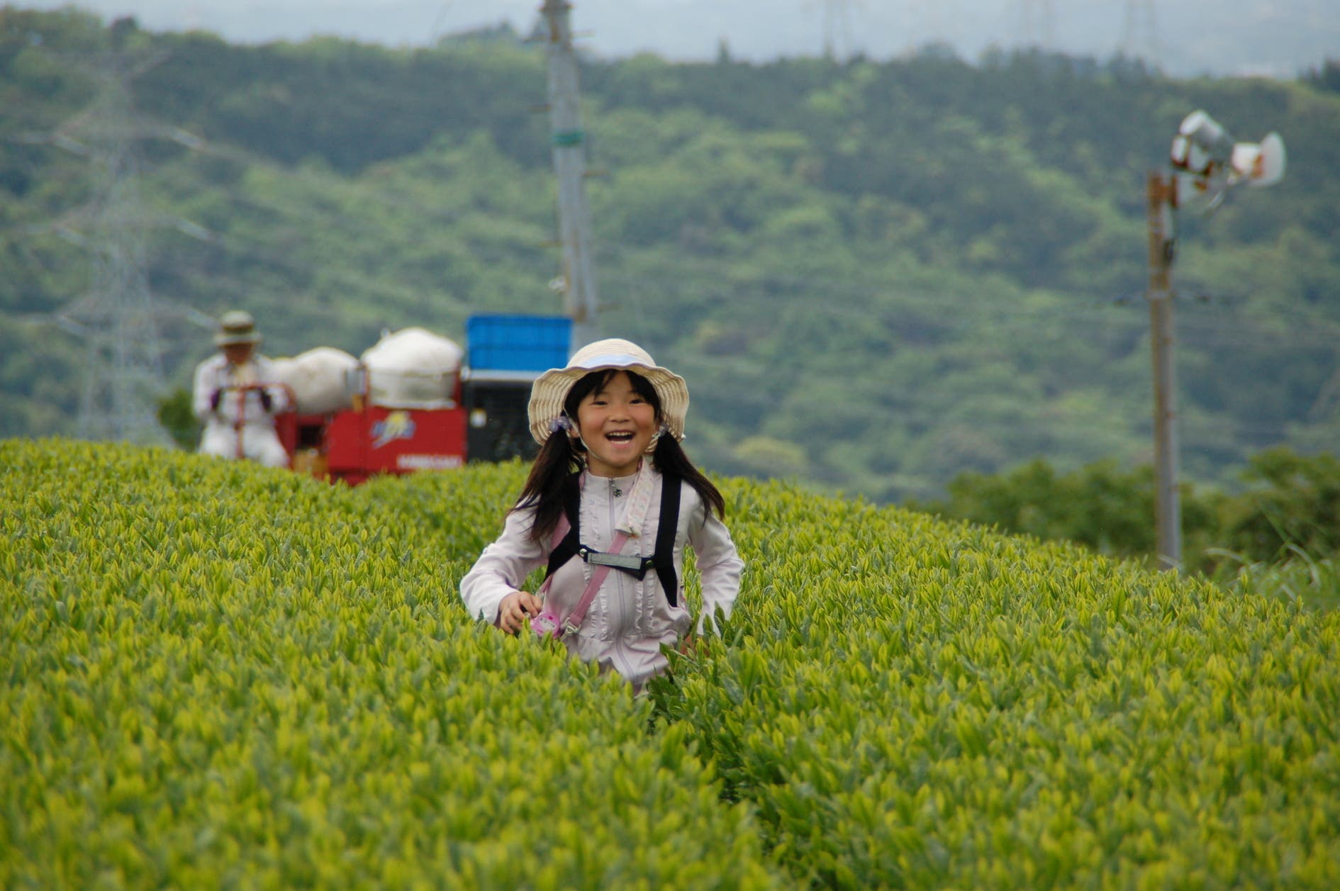 元お茶農家さん家の一棟貸し古民家宿＆脇屋wakiya　リモートワークにもおススメ！の写真9