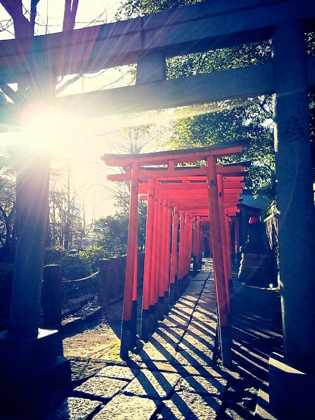 谷根千エリア【広々一軒家リビング〜ダイニング〜キッチン】大手町から電車7分/親睦会/上映会/撮影/ミーティングの写真27