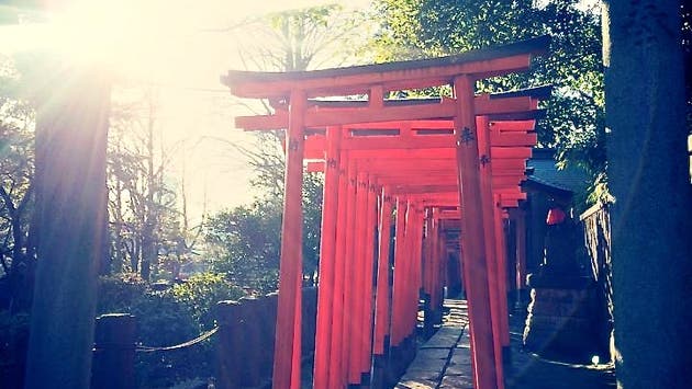 谷根千エリア【広々一軒家リビング〜ダイニング〜キッチン】大手町から電車7分/親睦会/上映会/撮影/ミーティングの写真27