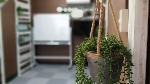 ⭐サニースペース上本町⭐上本町駅徒歩すぐ✨勉強会・教室やレッスン・カウンセリング💻☕Wi-Fi完備、モニター無料の写真7