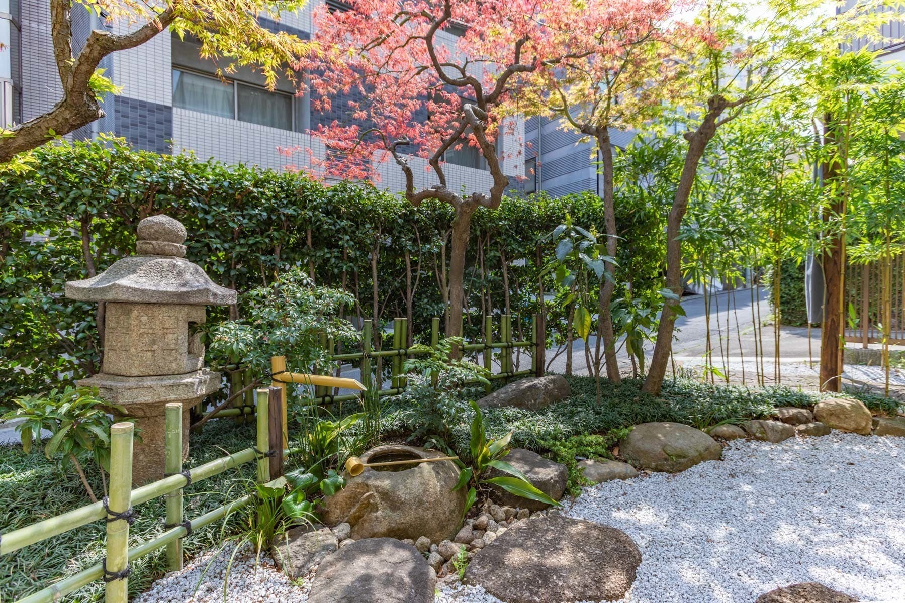 ✨毎回清掃除菌✨😲【ひらやないえ】西新宿五丁目4分！日本家屋🏠新宿徒歩圏の写真6