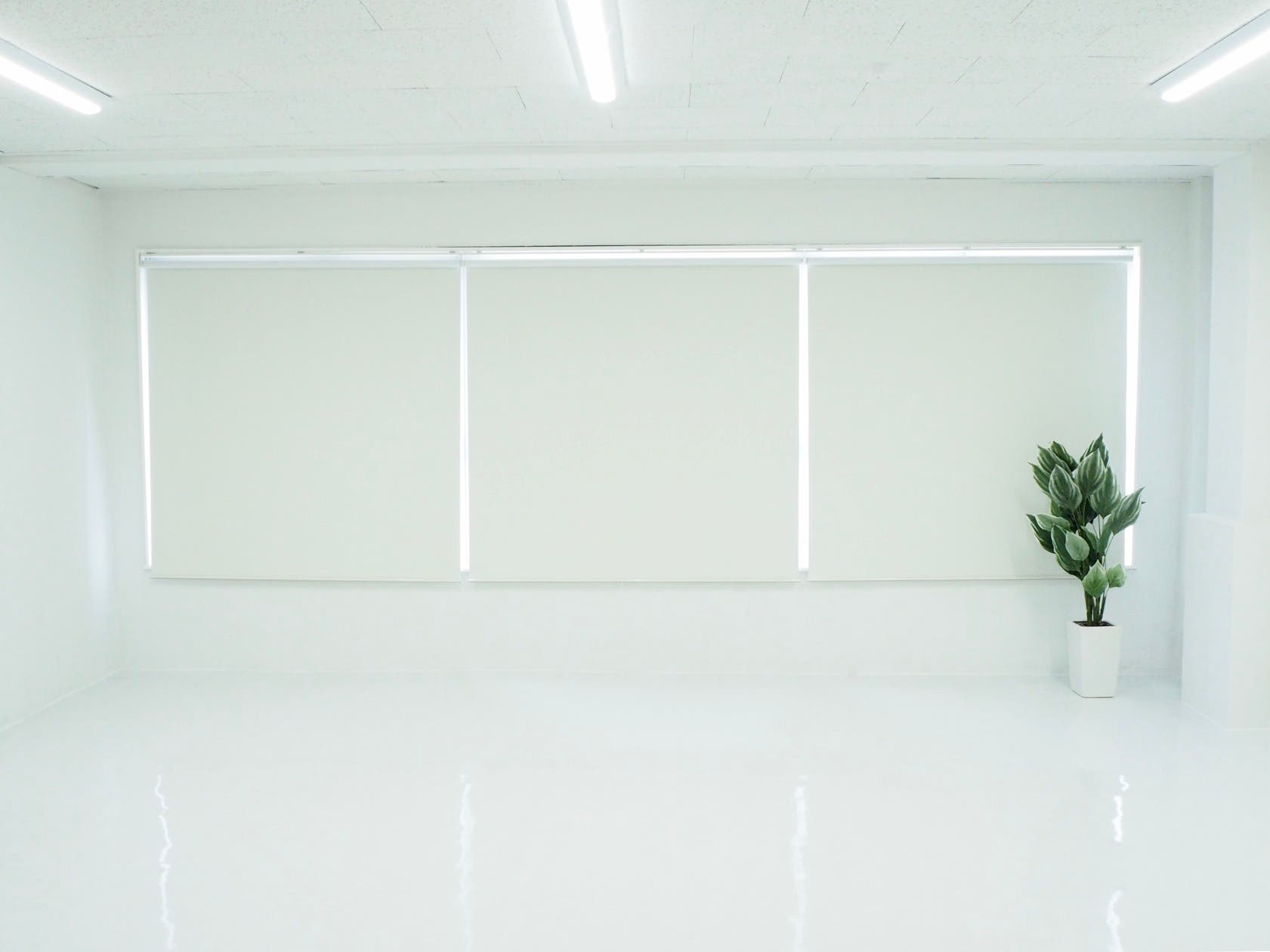 【studio 0 story】165㎡の広いスペースに5つのテーマで撮影できるスタジオです！の写真14