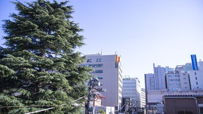 【3rdROOM】新宿三丁目駅至近!新宿ゴールデン街最上階。 職場でもない自宅でもない3番目の部屋。の写真10