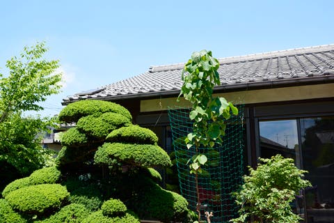 歓送迎会・花火・BBQ・古民家・庭・撮影・白壁・畳・縁側・天井高・浴衣・ポートレート・府中競馬場すぐ・20名までの写真10