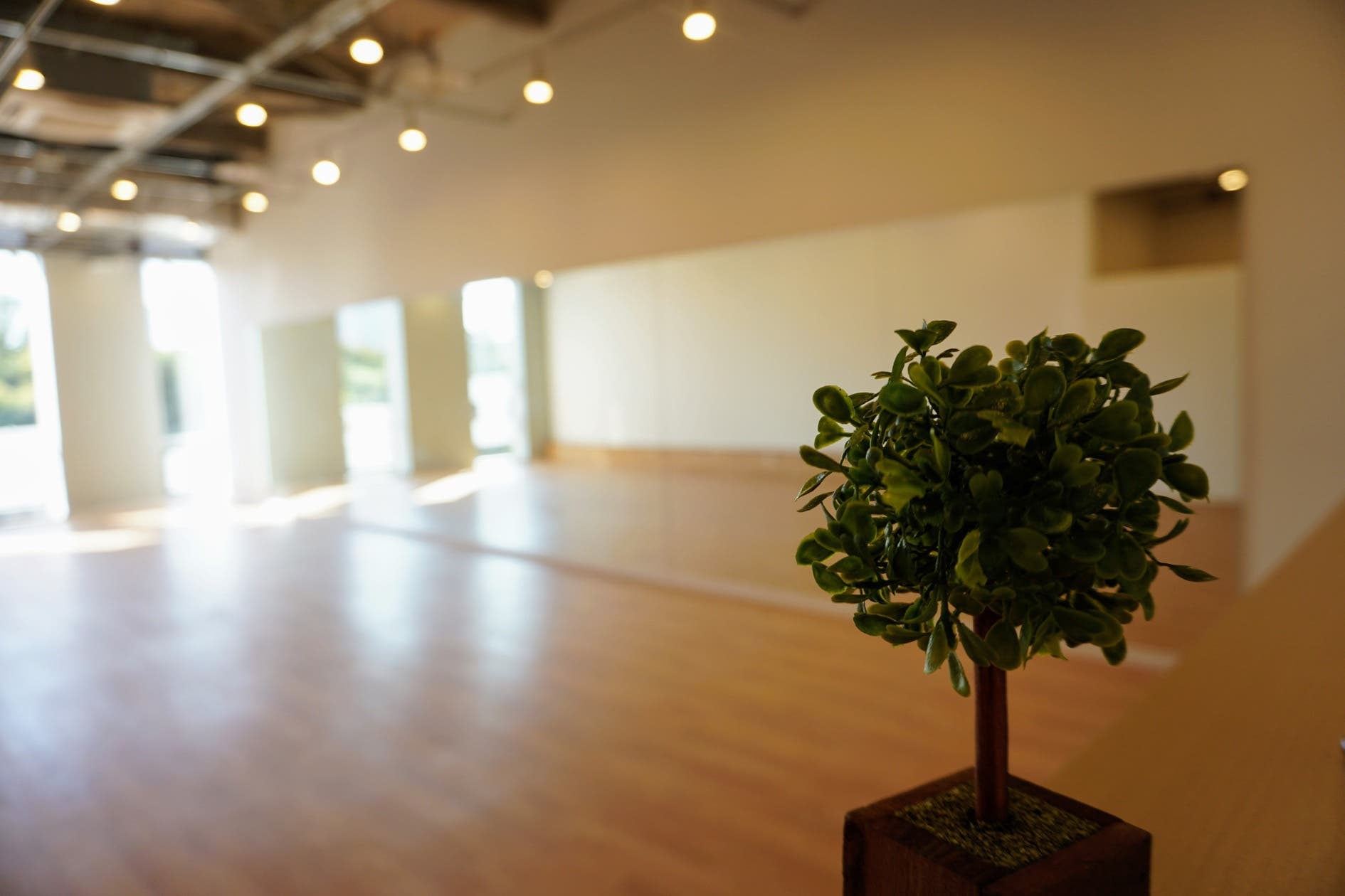 海浜幕張のおしゃれヨガスタジオ！海がテーマ！レッスン、余興の練習、ダンスなどの写真8