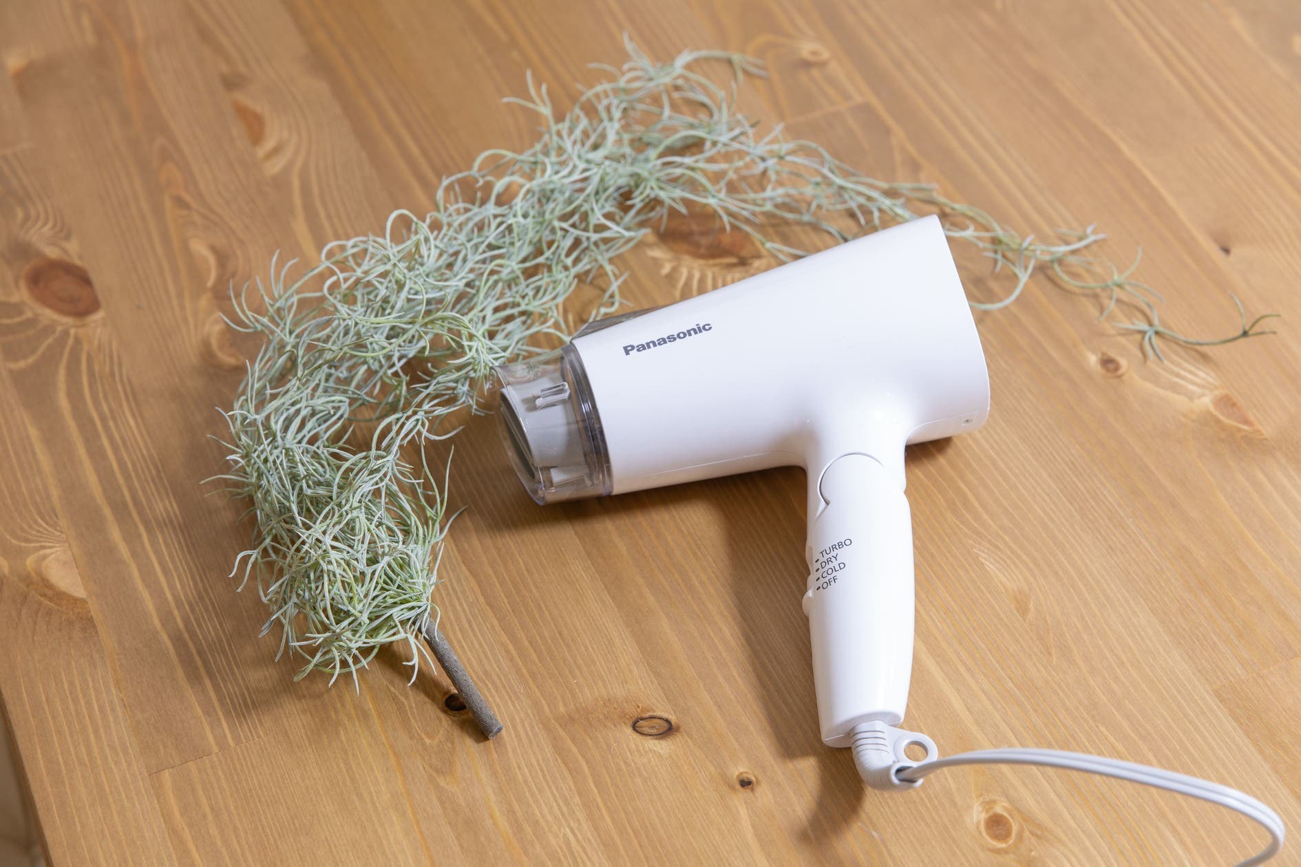 スペモ🏠クリスマス🎄歓送迎会🎊学割👨‍🎓プロジェクター🎥映画鑑賞🍿デート🐈‍⬛381_fika渋谷道玄坂の写真26