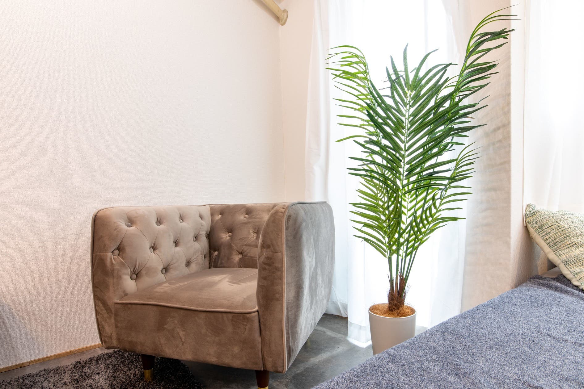 スペモ🏠クリスマス🎄歓送迎会🎊おしゃれ💎女子会💖推し活👑映画鑑賞🍿パーティー🌟382_fika池袋サンシャインの写真14