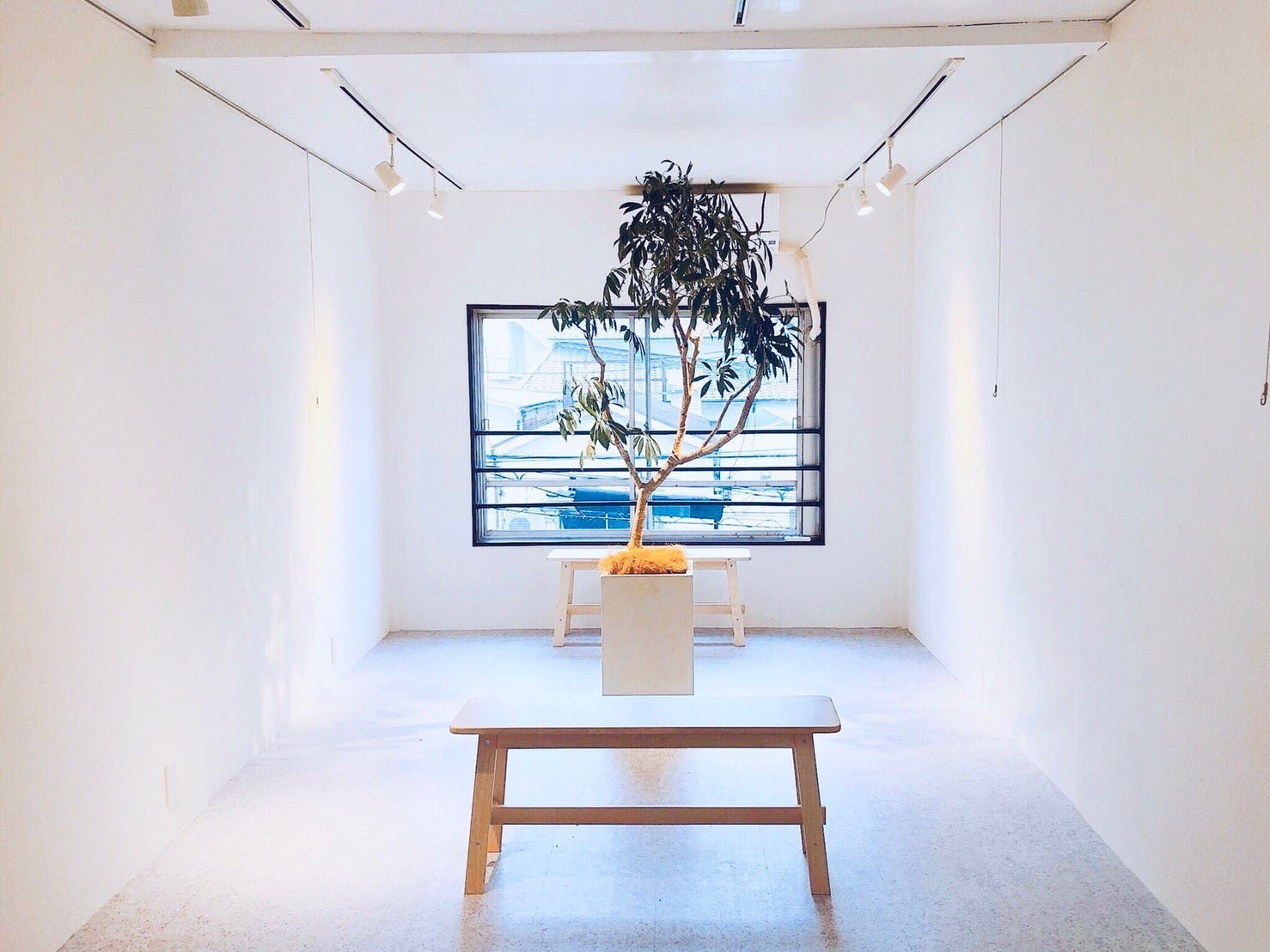 【中崎町駅から徒歩2分】自然光が射す40㎡のギャラリー/アート、アパレル展示会・POP-UP・撮影の写真4