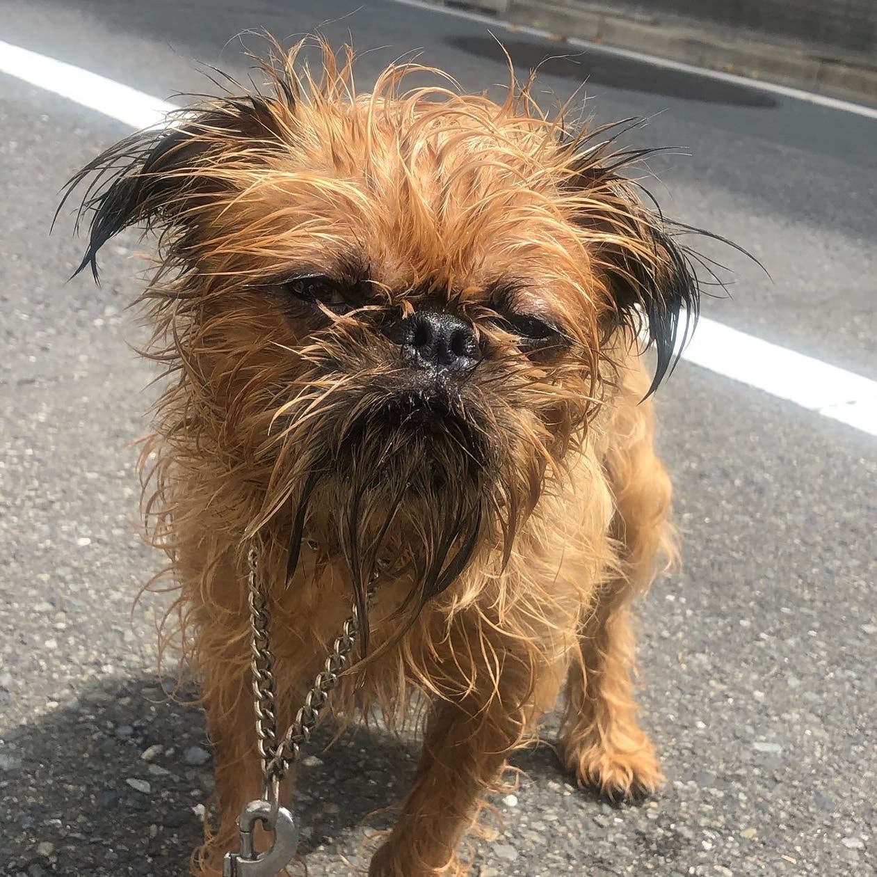 レンタルbeebodyCの写真4