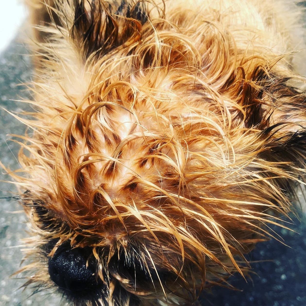 レンタルbeebodyCの写真5