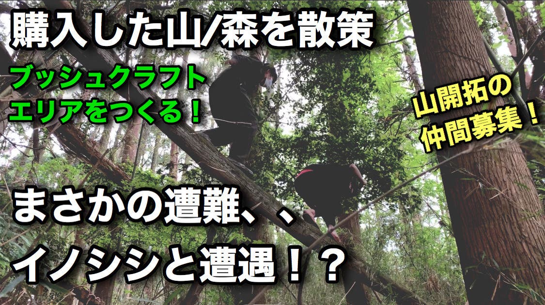 感動の見晴らし&星空｜TV,雑誌,YouTube撮影実績多数(ドローンOK)｜子どもキャンプ・女子会・結婚式二次会利用など！の写真10