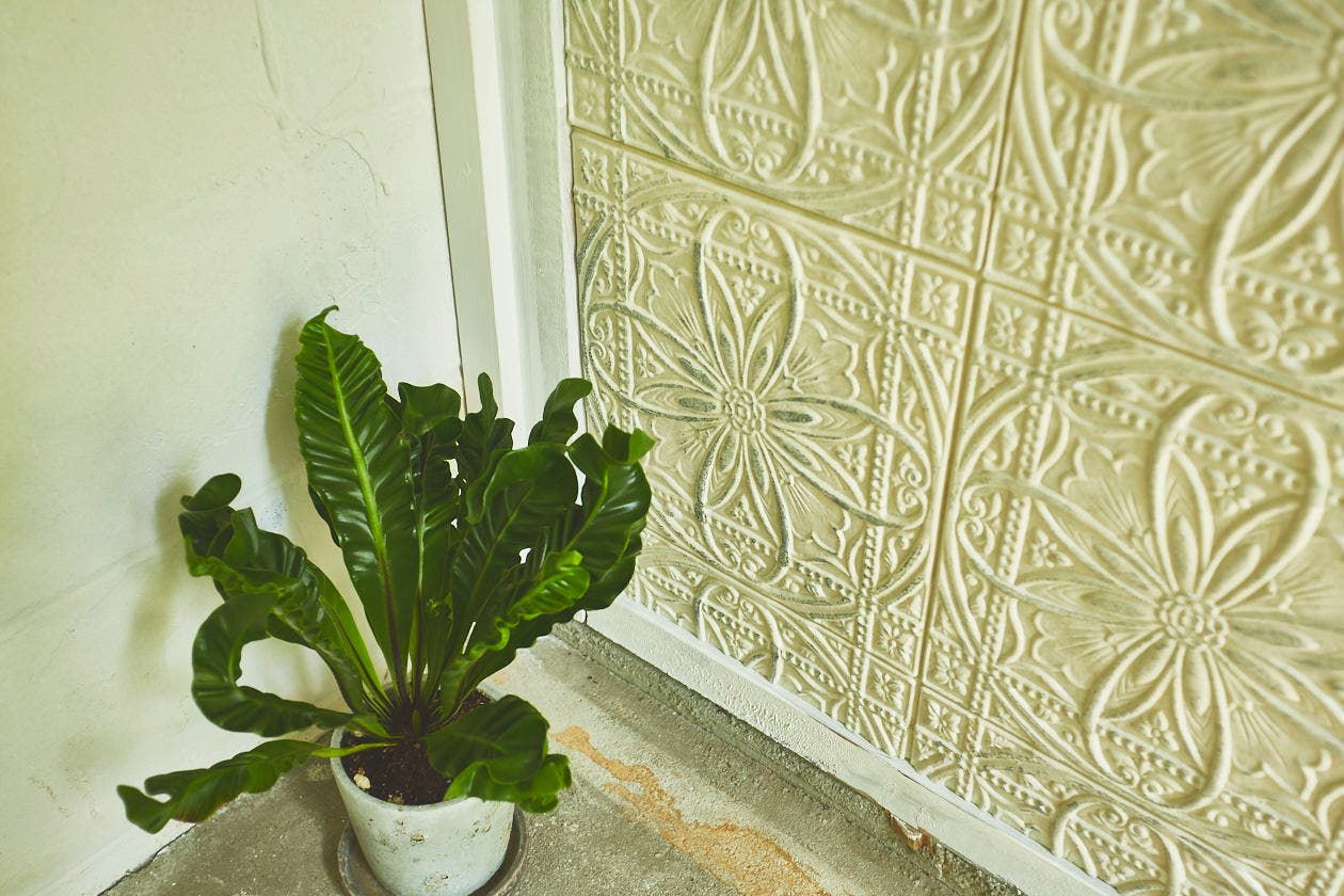 大阪市内では数少ない緑豊かな庭付きの自然光スタジオです。メイクルームも完備！の写真12