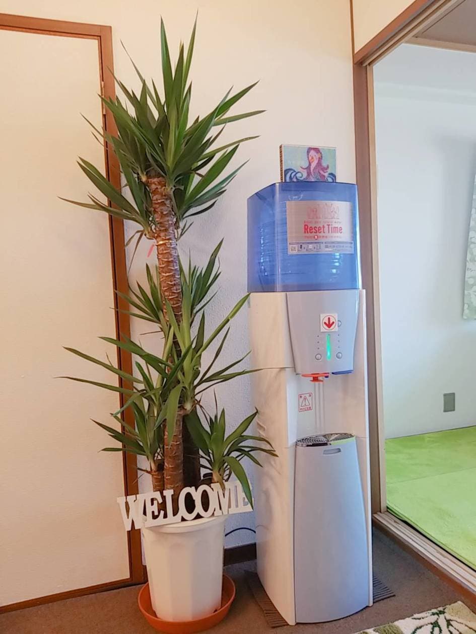 🌟【金山駅徒歩3分】クリスマス仕様のお部屋貸切✨声で点灯！誕生日・女子会・推し活・撮影に💖キッチン&夜景もの写真11