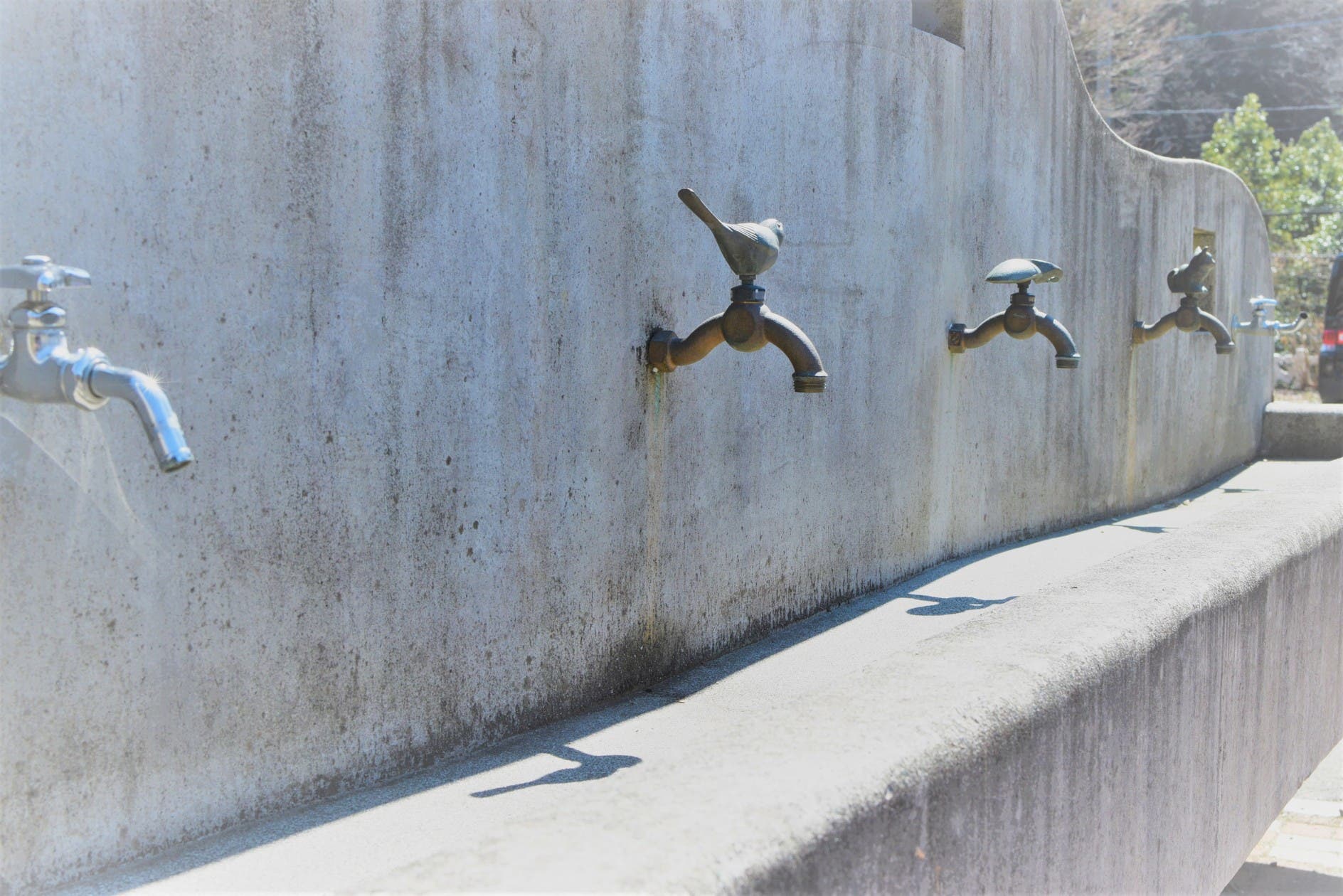 かつての学校がスペース！どこか懐かしい空間と施設周りの大自然！の写真13