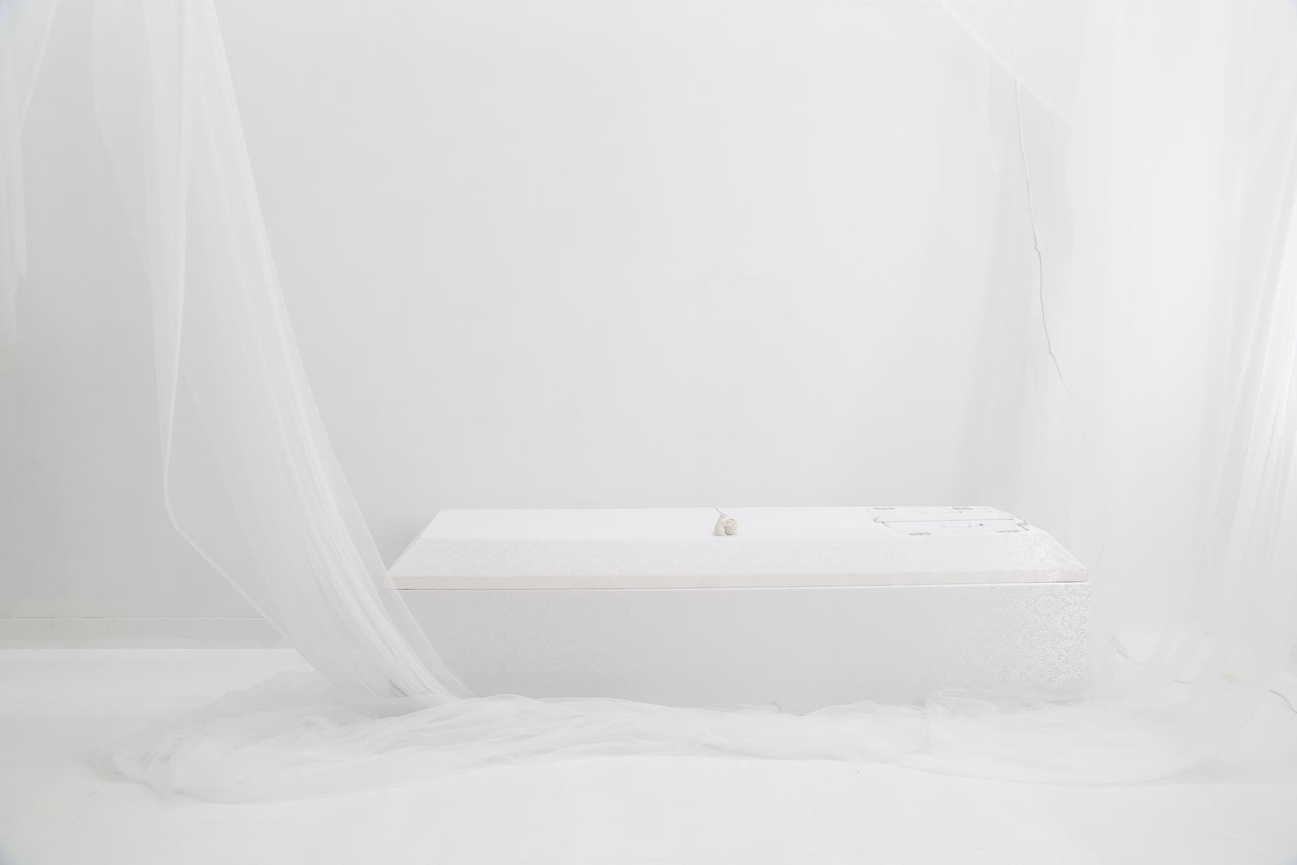 棺桶ヒーリングの画像1